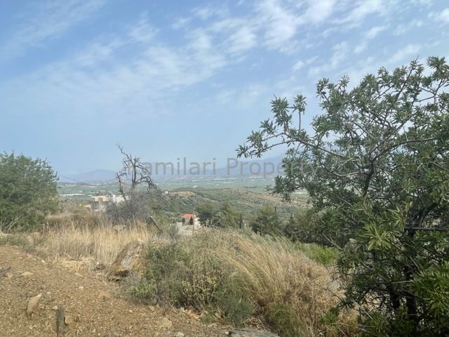 #265 Primary location in the village of Alithini, East from Pombia ...